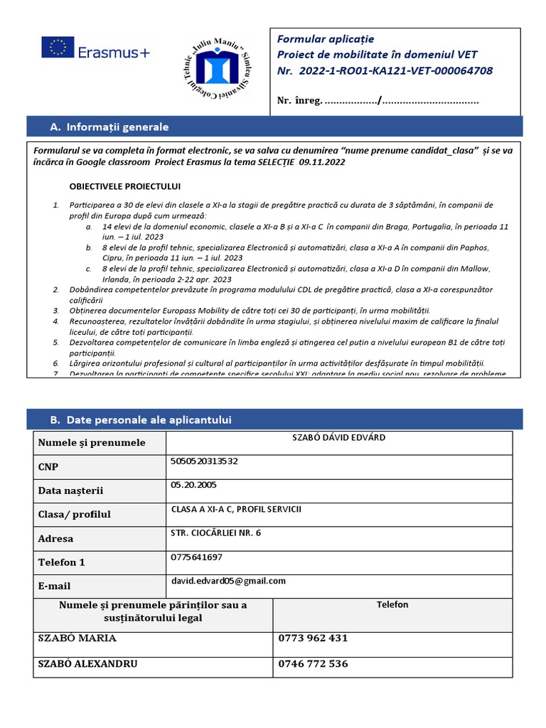 Formular Aplicatie | PDF