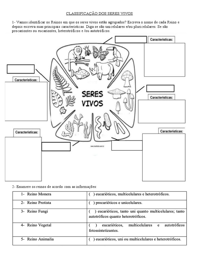 Classificação Dos Seres Vivos | PDF