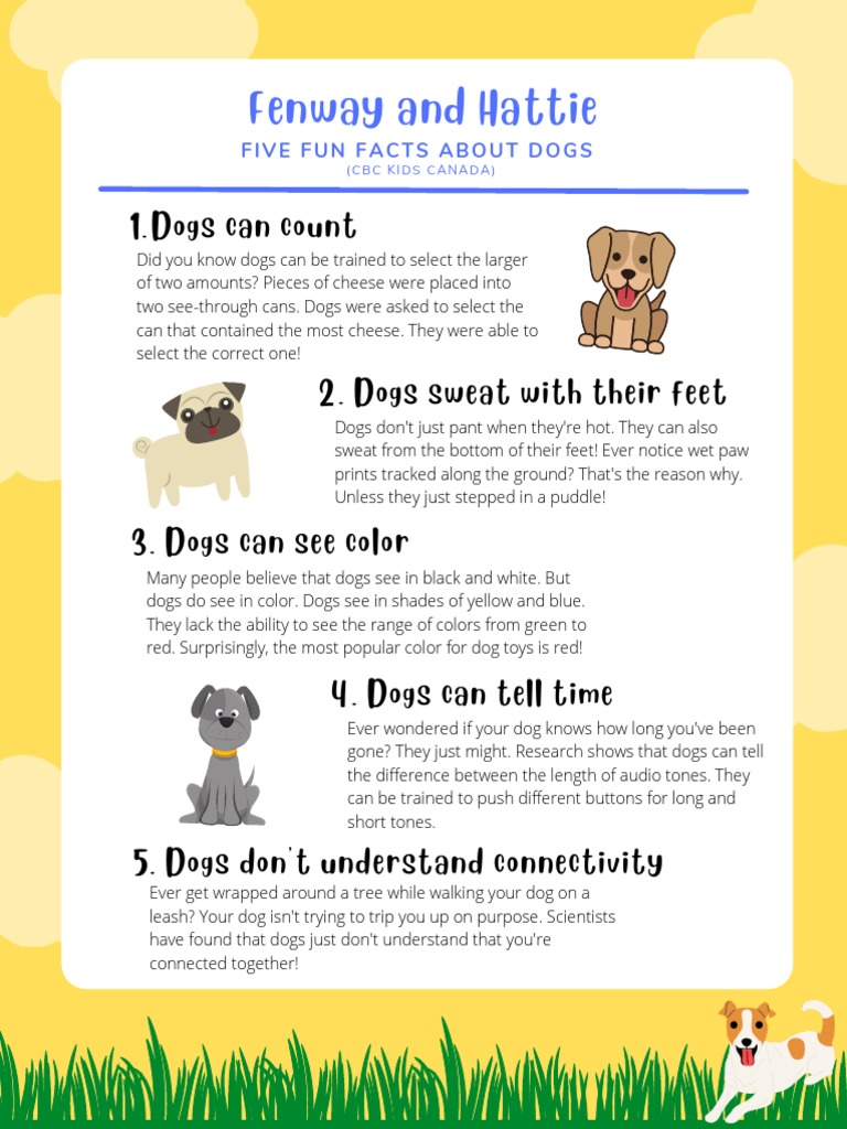 Facts About Dogs | PDF