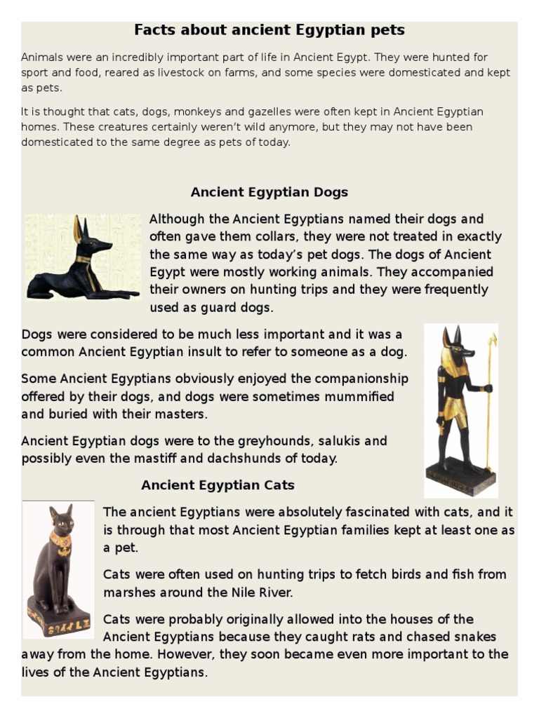 Ancient Egyptian Pets | PDF | Pet | Dogs