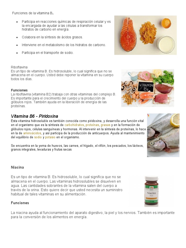 Funciones de La Vitamina B1 | PDF | Vitamina | Nutrición