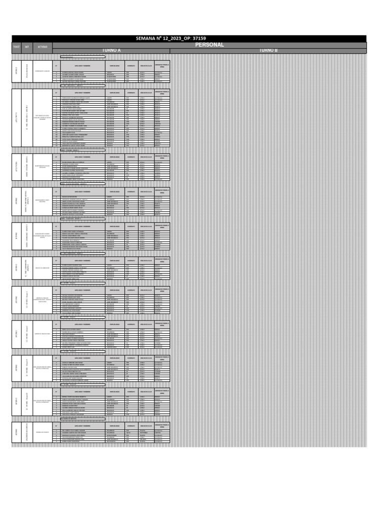 Manpower W12 Ver00 | PDF