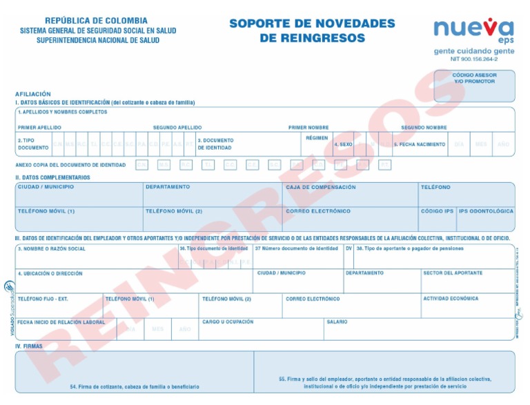 REINGRESOS-SOPORTE NOVEDADES (1) | PDF