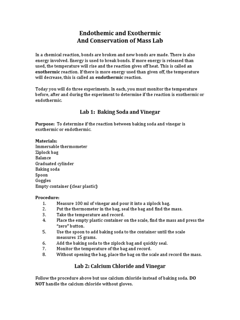 Endothemic and Endothermic Lab | PDF | Chemical Reactions | Temperature