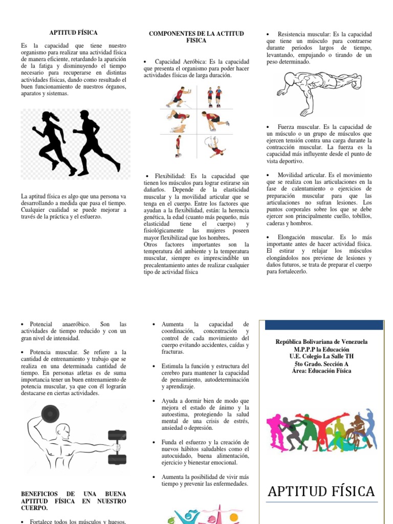 Triptico Aptitud Fisica | PDF | Flexibilidad (anatomía) | Aptitud física