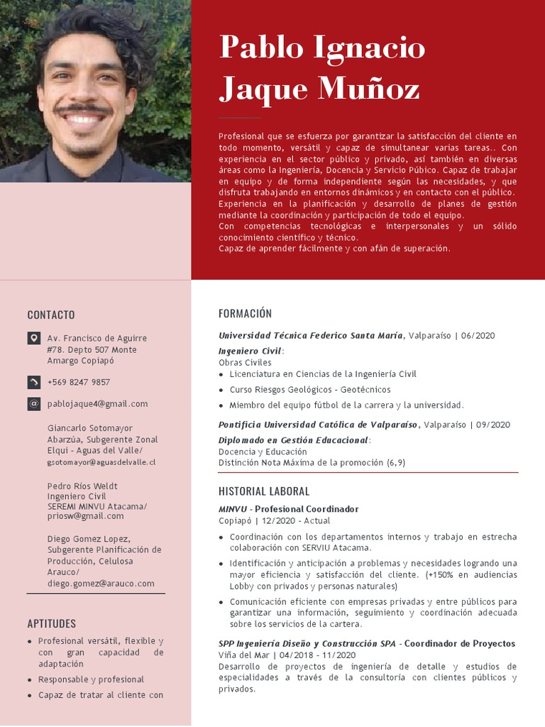 Curriculum Pablo Jacque | PDF | Ingeniería | Software