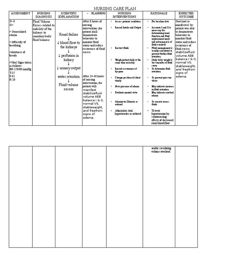 NCP Fluid Volume Excess | PDF | Hypertension | Kidney