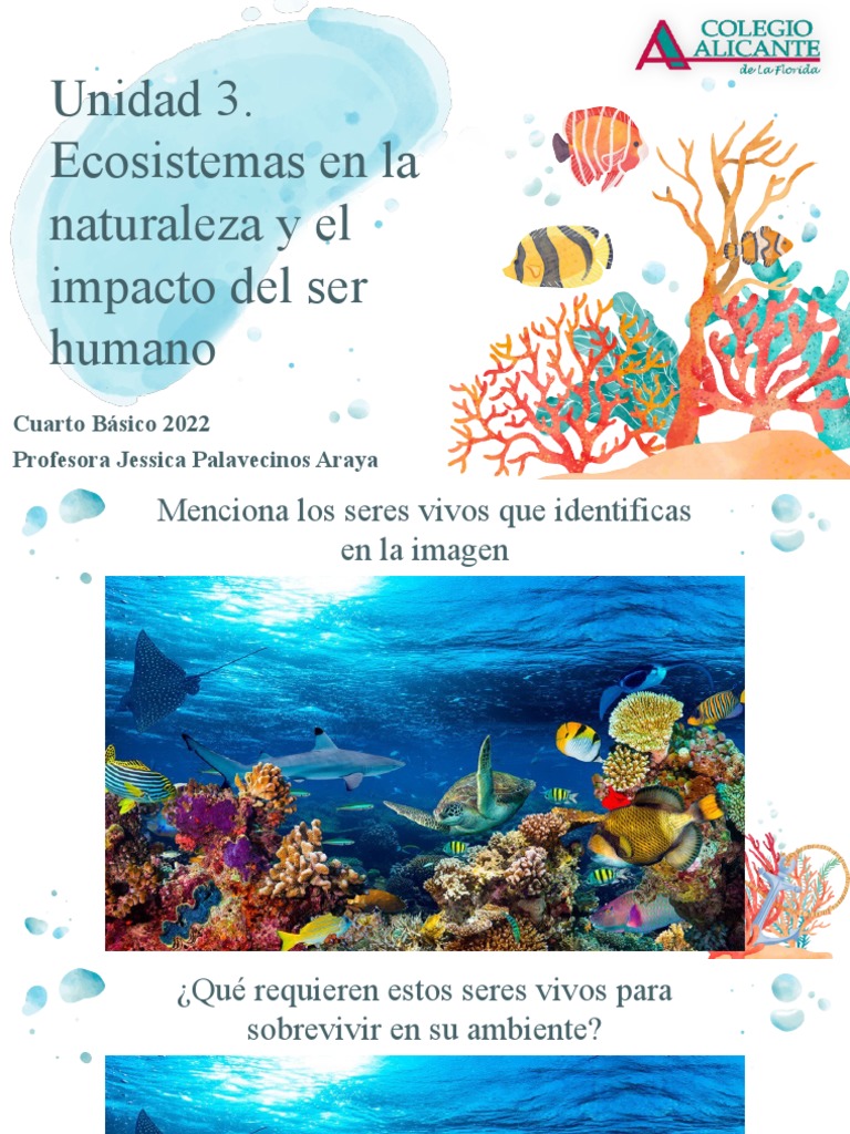 Clase 1 - Ecosistema | PDF