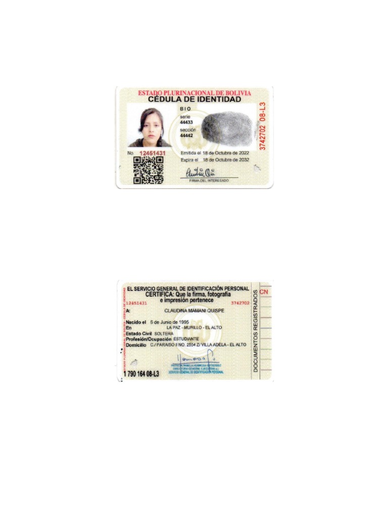 Carnet PDF | PDF