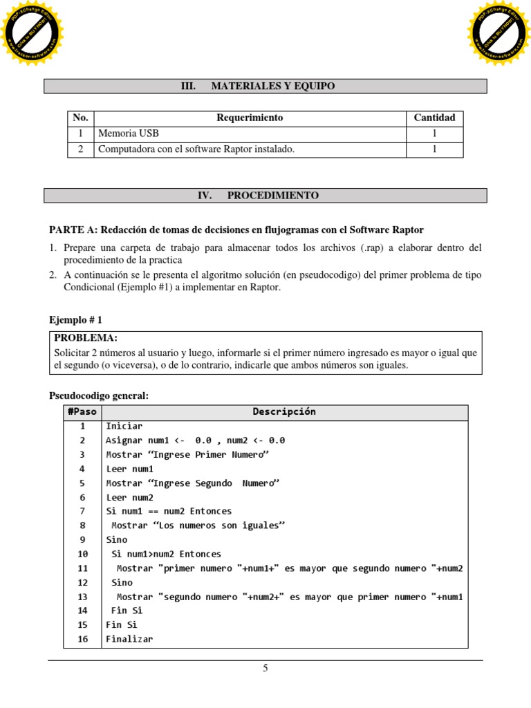 Ejercicios Condicionales Raptor | PDF | Algoritmos | Informática