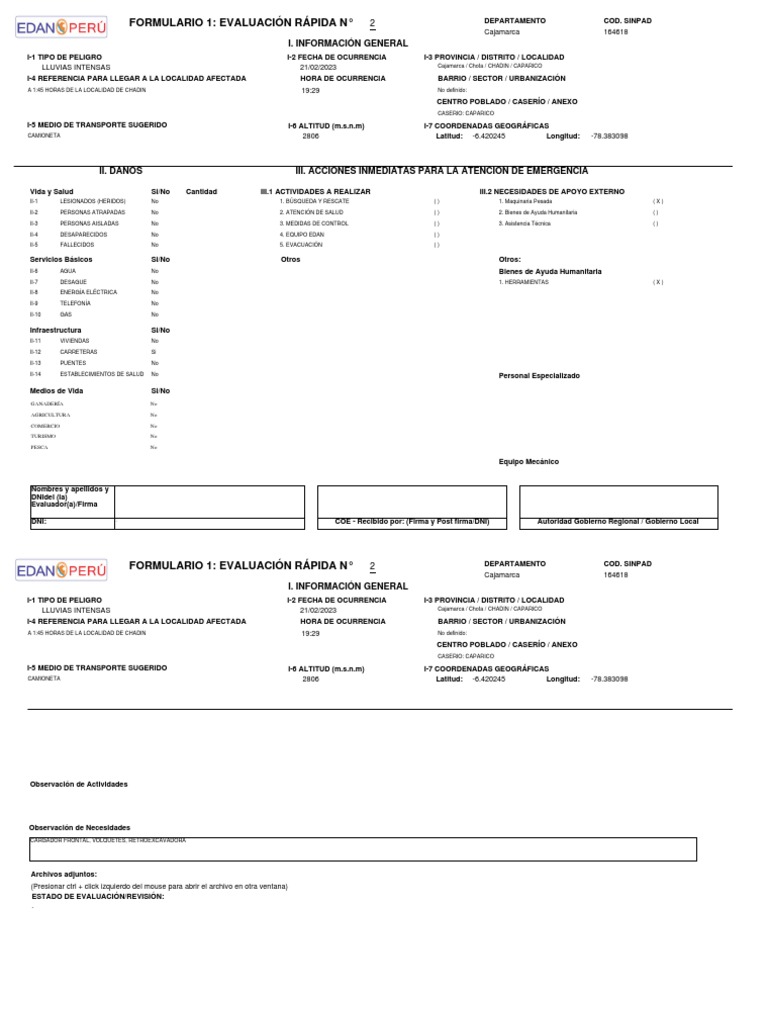 Formulario 1 - Caparico | PDF