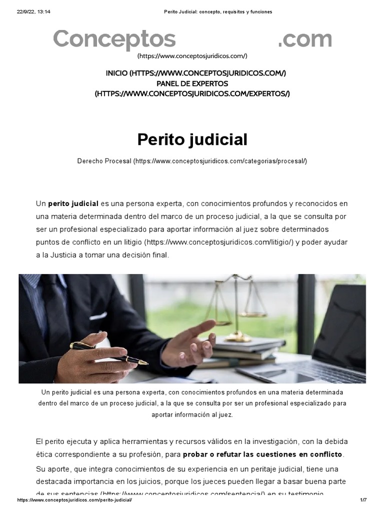 Perito Judicial: funciones y requisitos | PDF | Testigo experto | Experto