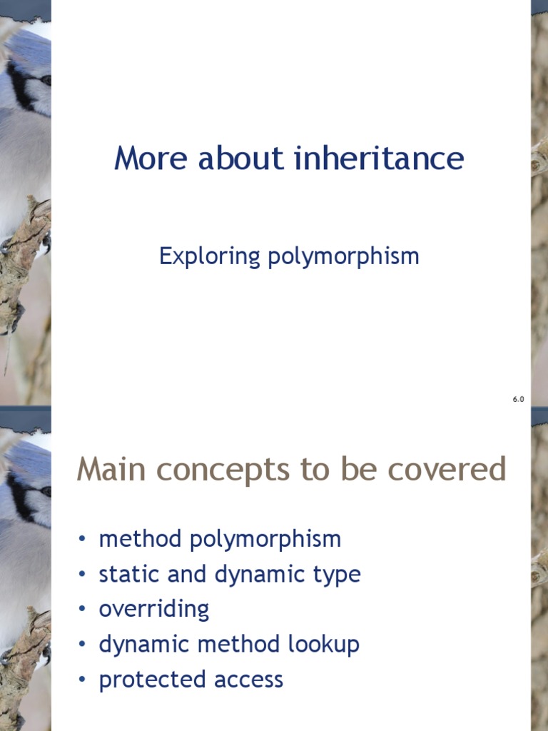 Chapter 11 Pdf Inheritance Object Oriented Programming Method