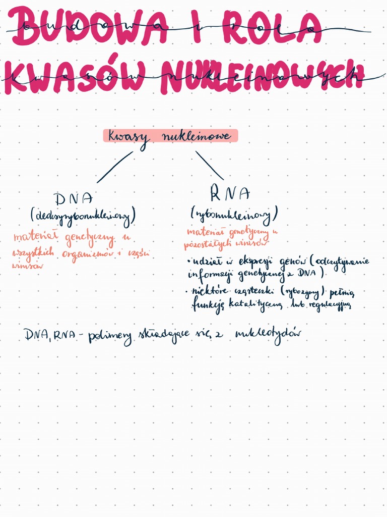 Genetyka Molekularna | PDF