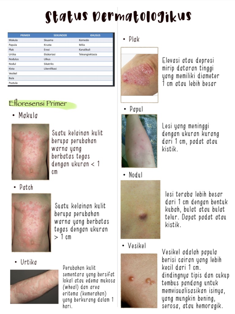 Status Dermatologis dan Efloresensi Kulit | PDF