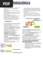 RESUMEN BIOCEL 2.4 Citosol, Citoesqueleto y Motilidad | PDF | Microtúbulos | Músculo