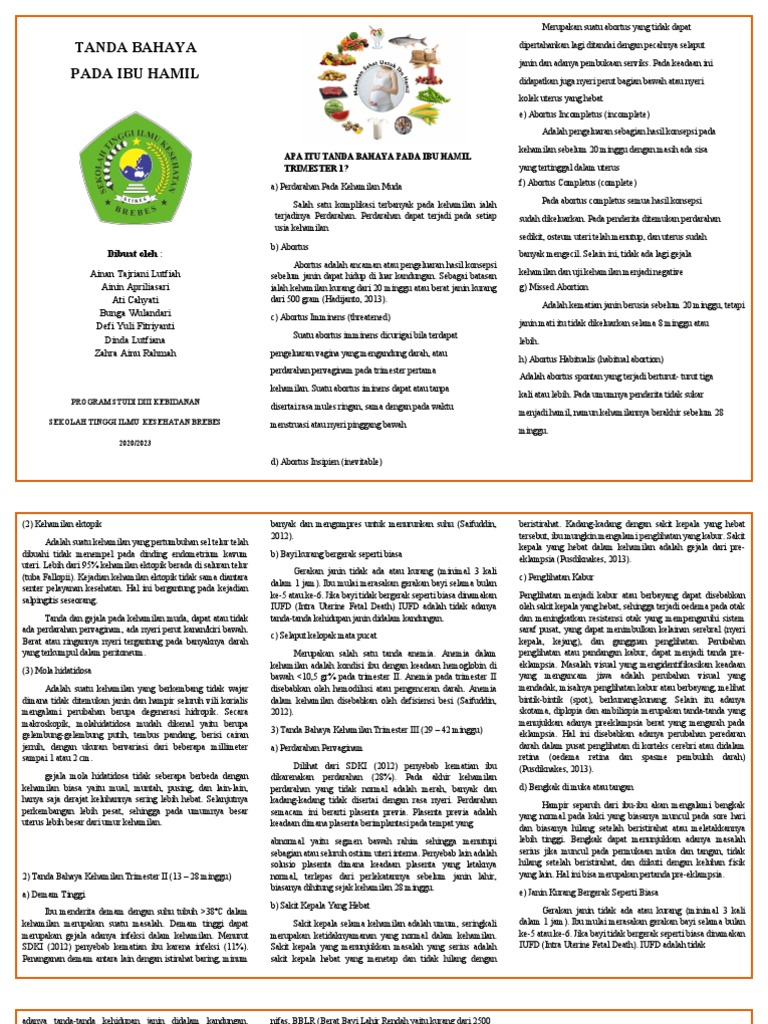 Leaflet Tanda Bahaya Ibu Hamil TM 1,2,3 | PDF