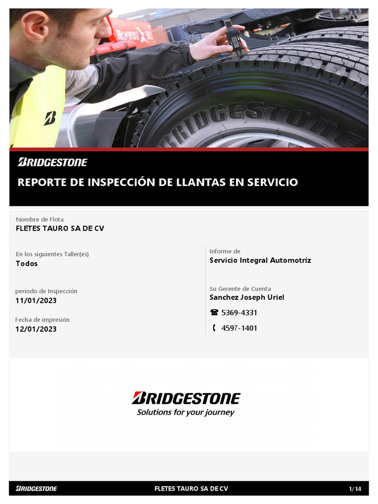 Fletes Tauro Analisis de Flota | PDF | Neumático | Bienes manufacturados