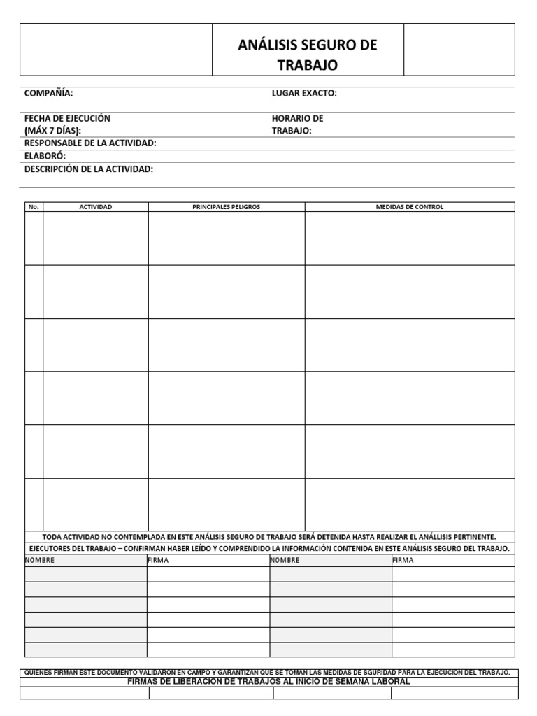 Formato Ast Rev 0 | PDF