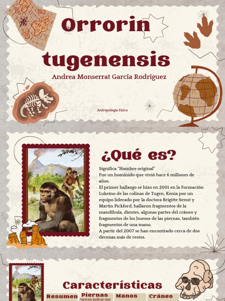 Orrorin Tugenensis | PDF