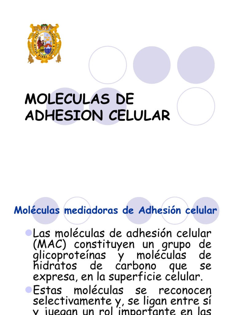Moleculas de Adhesion Celular 1223605666724403 9 | PDF | Integrina ...