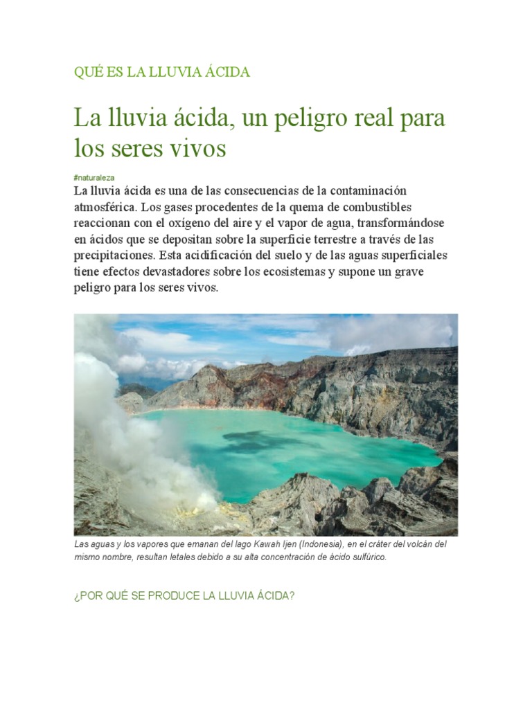 Impacto de la Lluvia Ácida en Ecosistemas | PDF | Ciencia y matemáticas