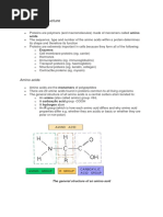 Protein Structure Worksheet | PDF | Biomolecular Structure | Proteins