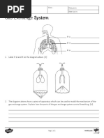 Year 8 Physics Sound & Light Test | PDF | Sound | Frequency