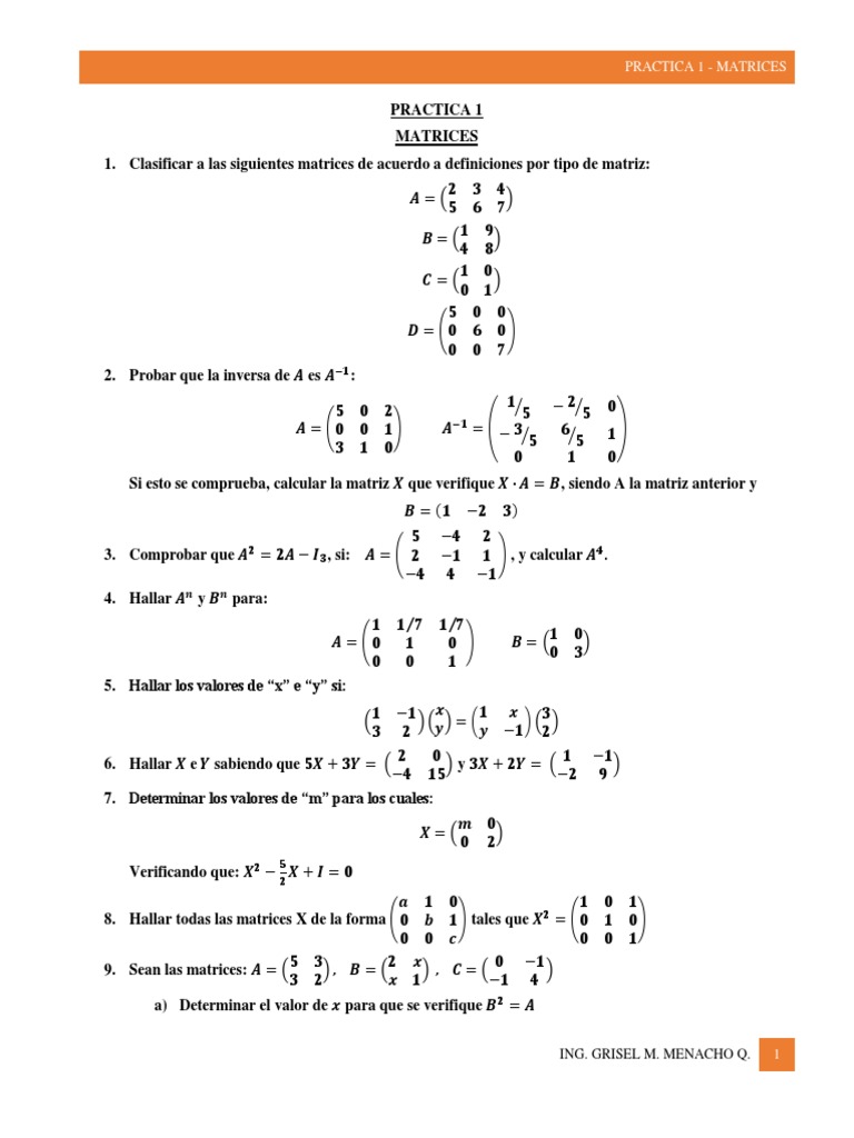 Practica 1 - Matrices | PDF | Matriz (Matemáticas) | Objetos matemáticos