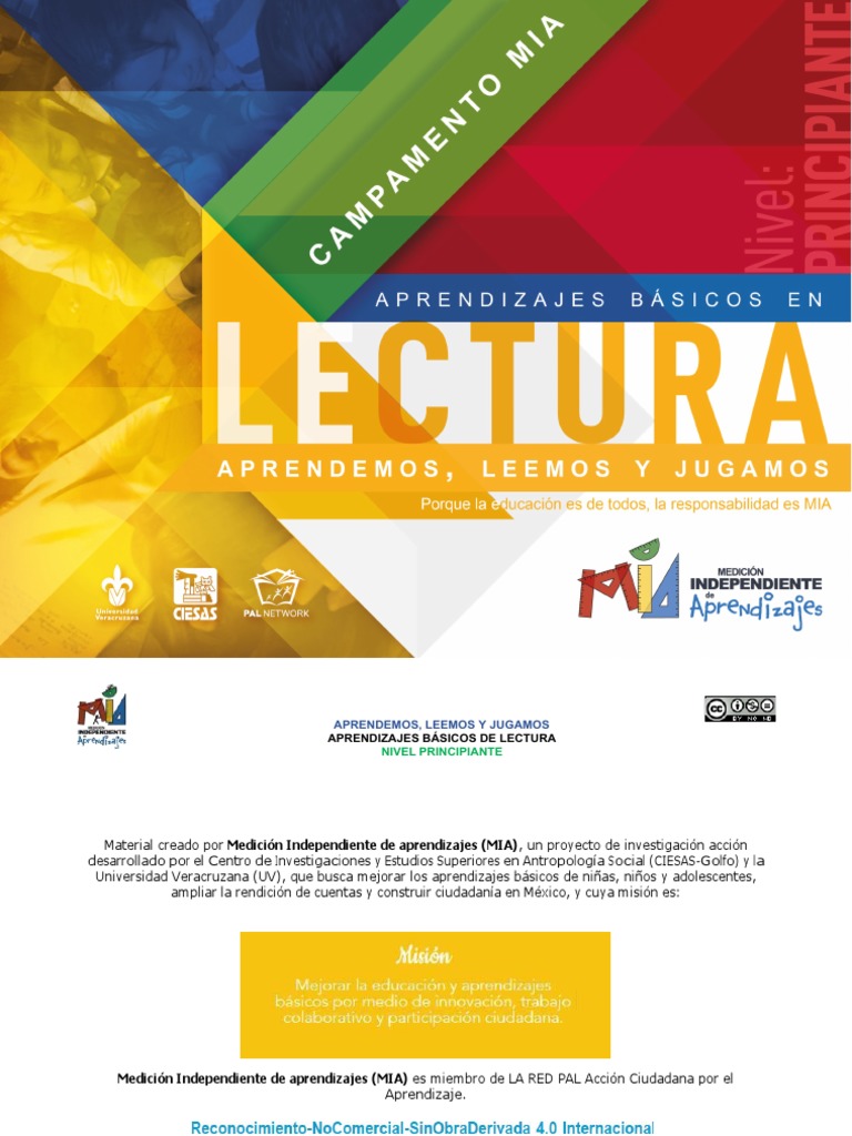 Lectura Principiante PDF | PDF | Comprensión lectora | Aprendizaje