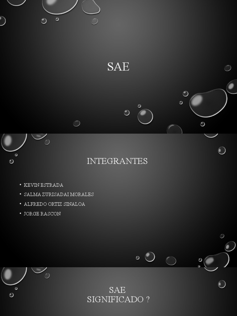 Sae | PDF