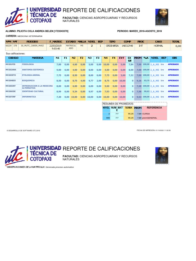 Report Calificaciones | PDF