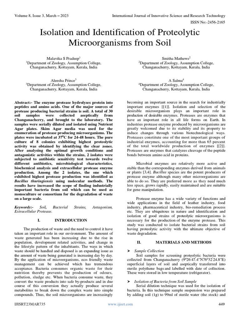 Isolation and Identification of Proteolytic Microorganisms From Soil | PDF | Bacillus | Bacteria