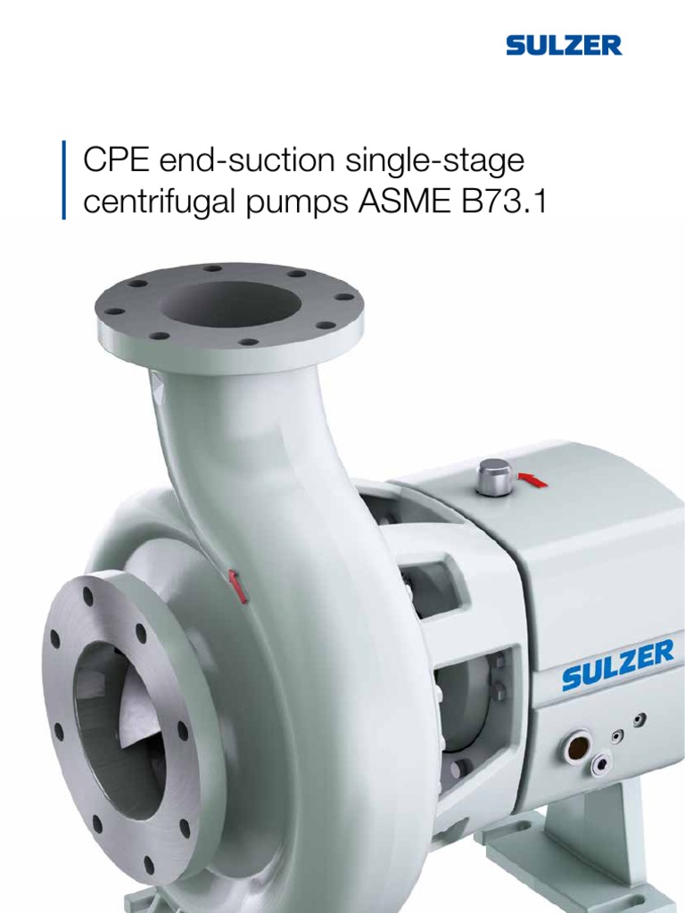 Cpe Ansi Process Pumps E10431 | PDF | Pump | Bearing (Mechanical)