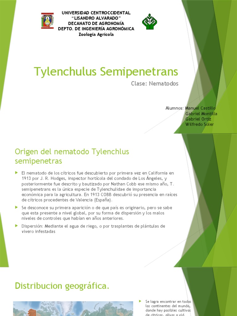Tylenchulus Semipenetrans Power Point | PDF | Agrios | Nematodo