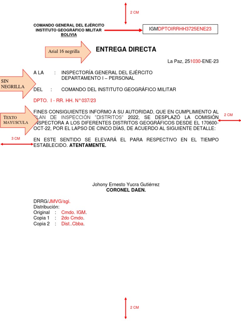 MODELO ENTREGA DIRECTA | PDF