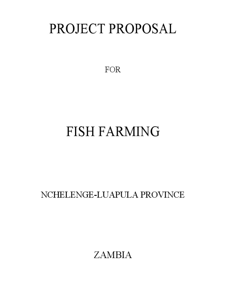 General Proposal Edited | PDF | Banks | Economies