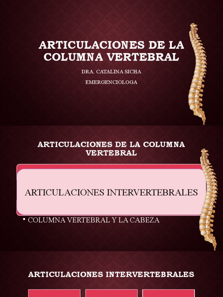 Articulaciones de La Columna Vertebral | PDF | La columna vertebral | Vértebra
