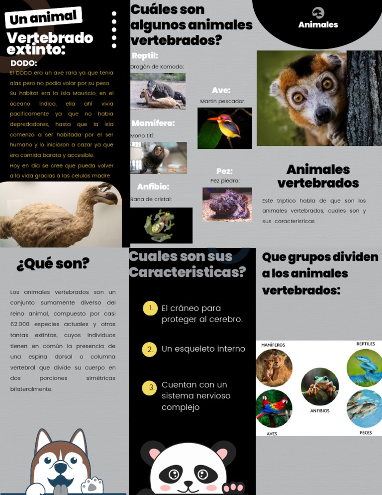Animales Vertebrados PDF | PDF | Vertebrados