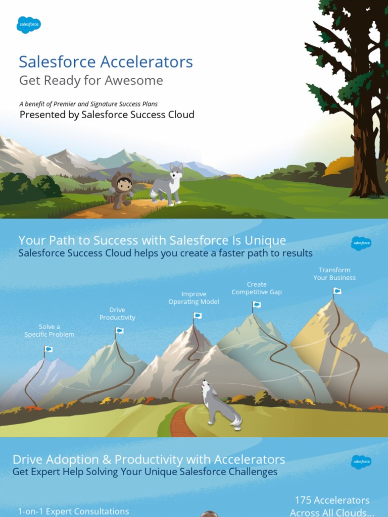 (PC) Introduction To Accelerators Included With Success Plans ...