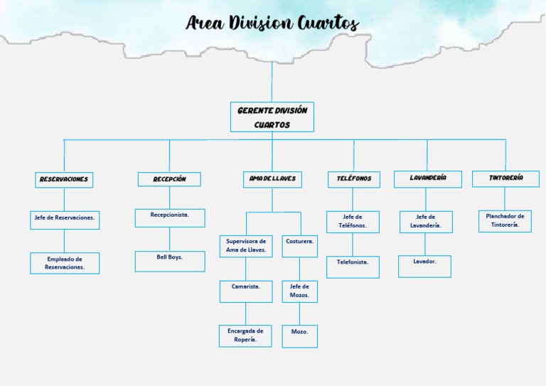 Actividad 2 Organigrama Area Division Cuartos | PDF