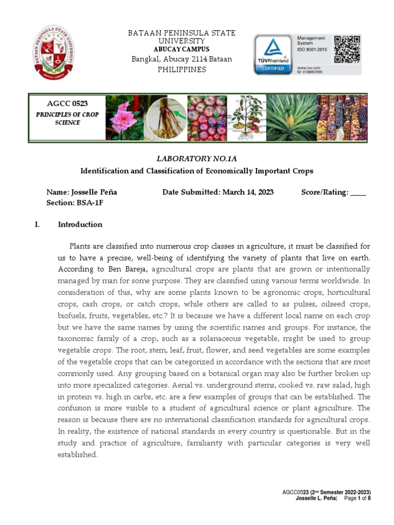 PEÑA, JOSSELLE L. Laboratory No.1A-AGCC 0523 PDF | PDF | Cereals | Barley