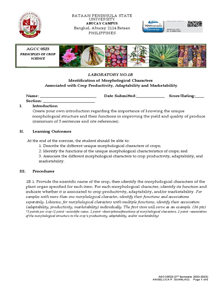 Crop Morphology and Productivity Analysis | PDF | Plants | Botany