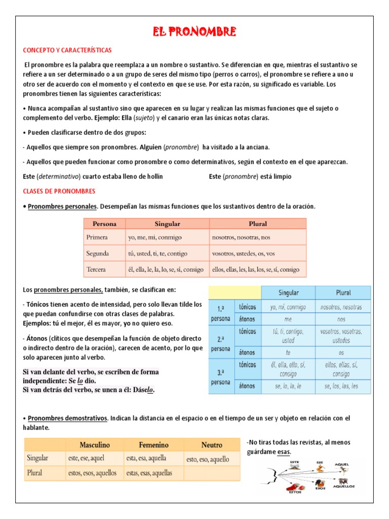 El Pronombre | PDF | Pronombre | Verbo