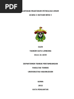 Karakteristik dan Pemanfaatan Dolomit | PDF | Seni | Sains & Matematika