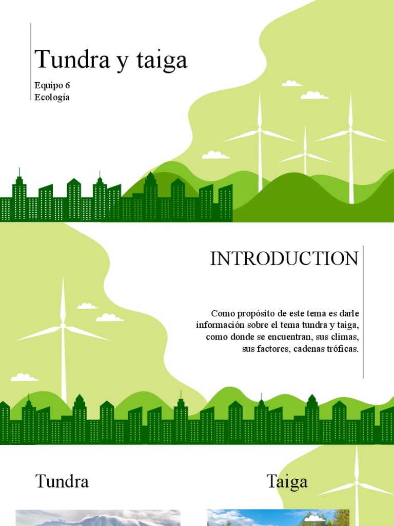 Tundra y Taiga | PDF | Botánica | Biogeografia