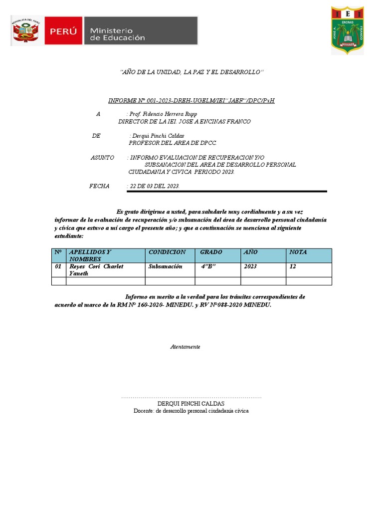 Informe de Examen de Subsanacion | PDF