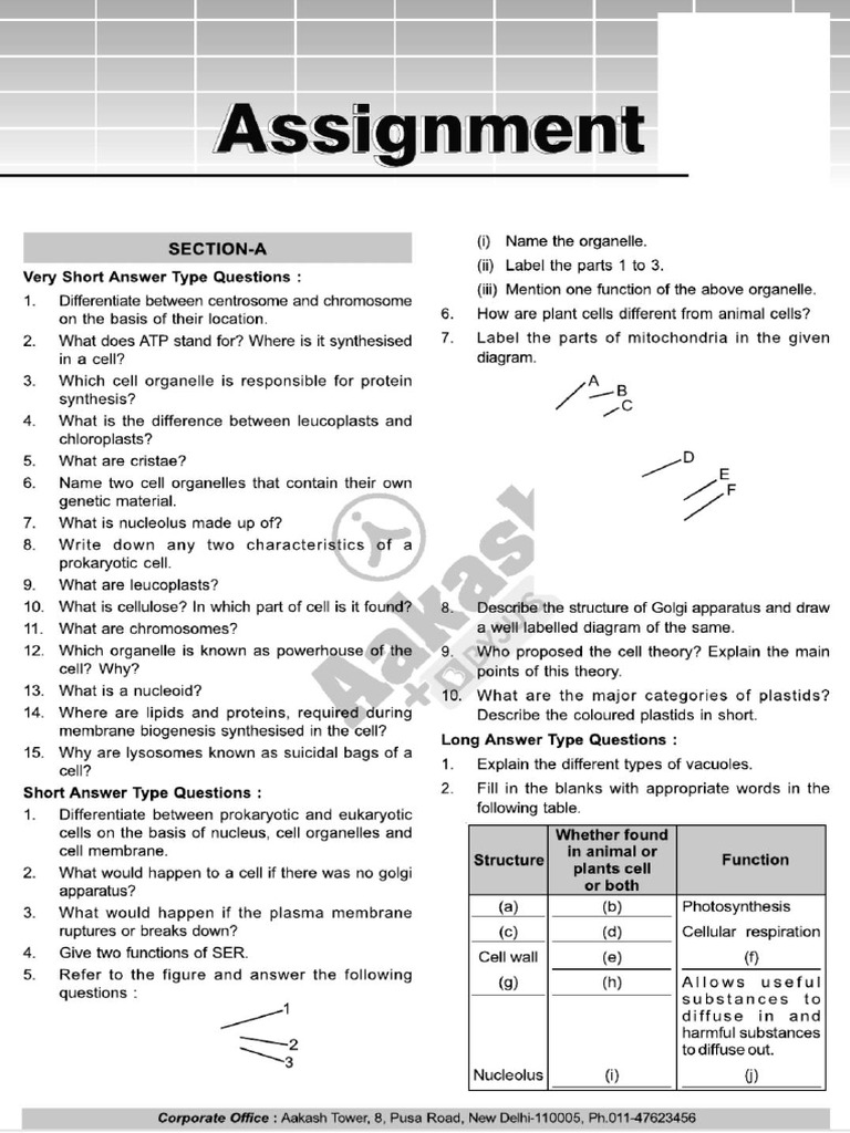 ICSE Questions PDF | PDF