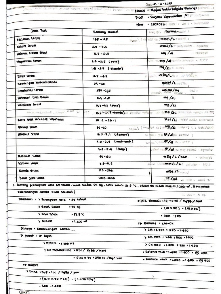 Megha Indah Belynda Gharlys PDF | PDF