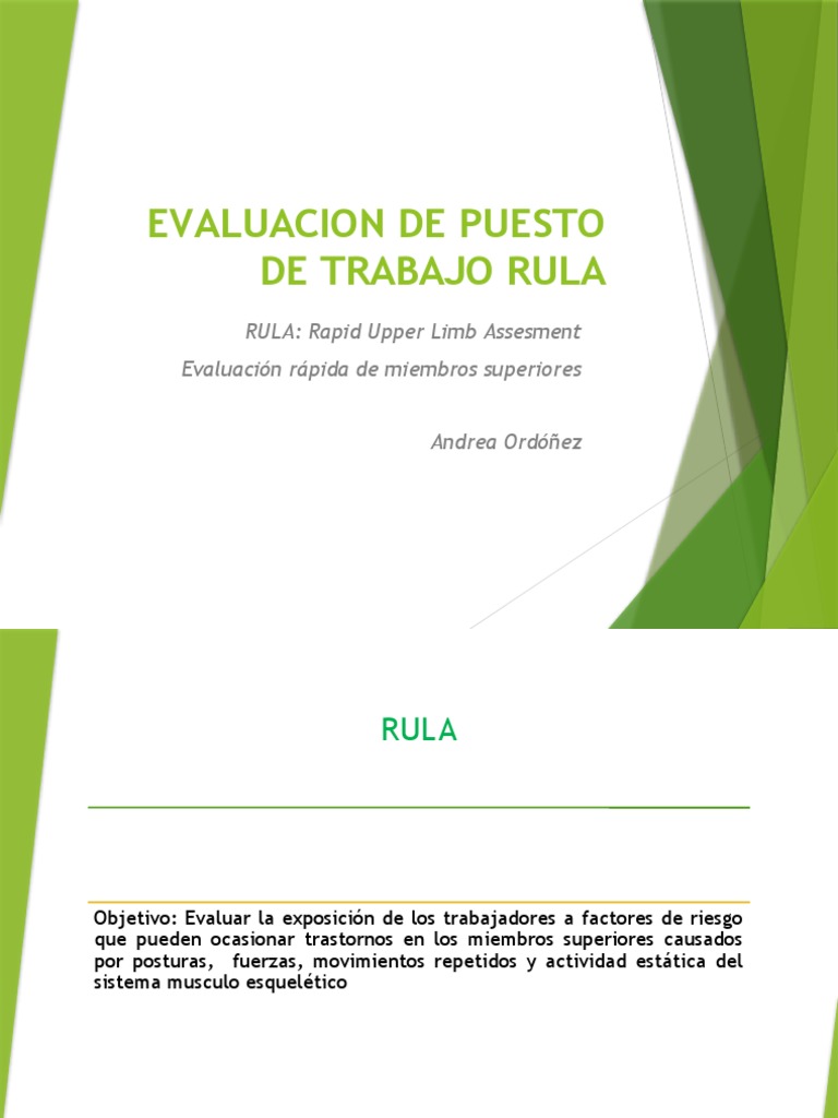 Evaluacion de Puesto de Trabajo Rula | PDF | Factores humanos y ergonomía